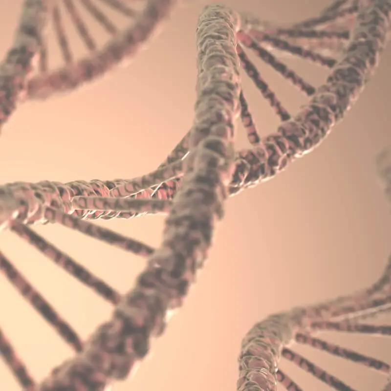 How to Get Rid of a Bunion (Hallux Valgus) | Liebscher & Bracht