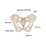 Pelvic Tilt: Causes, Symptoms & Exercises | Liebscher & Bracht