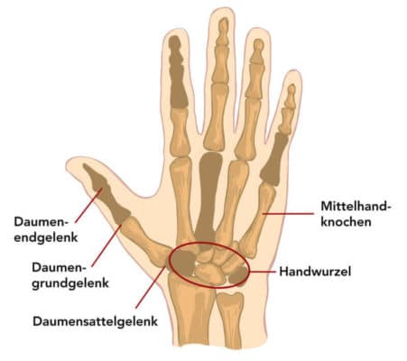 Schmerzen im Daumen | Liebscher & Bracht