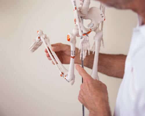 Bakerzyste: Ursache, Behandlung und die besten Übungen | Liebscher & Bracht