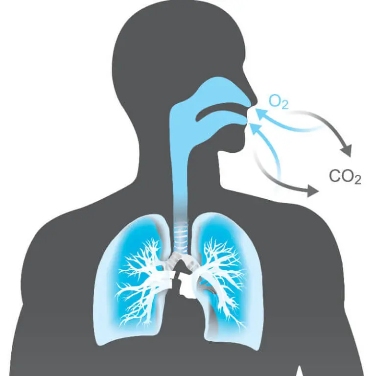 Übersäuerung (Azidose) – Symptome, Ursachen und Behandlung | Liebscher ...