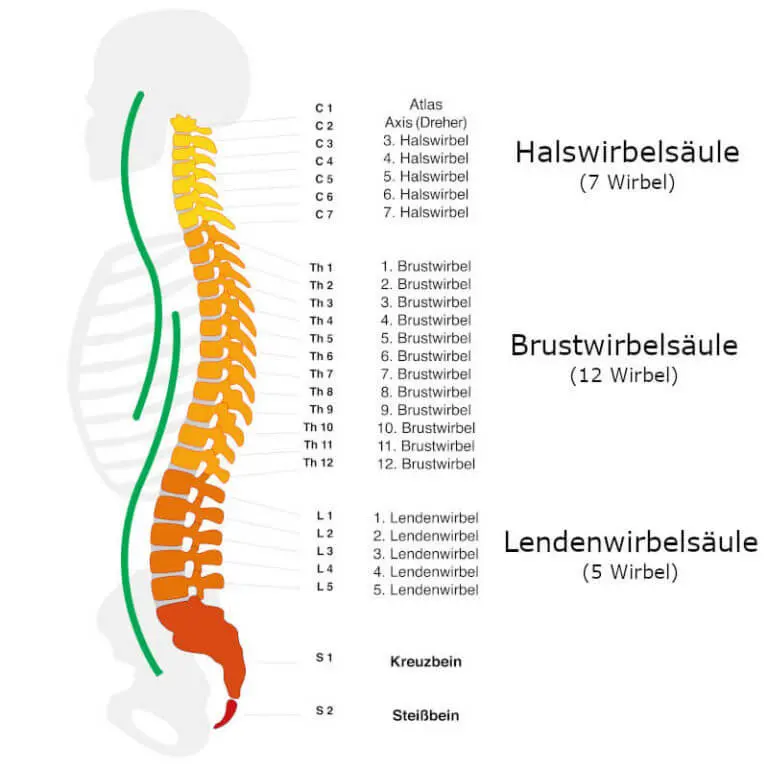 BWS-Blockade & BWS-Syndrom: Ursachen und Übungen | Liebscher & Bracht