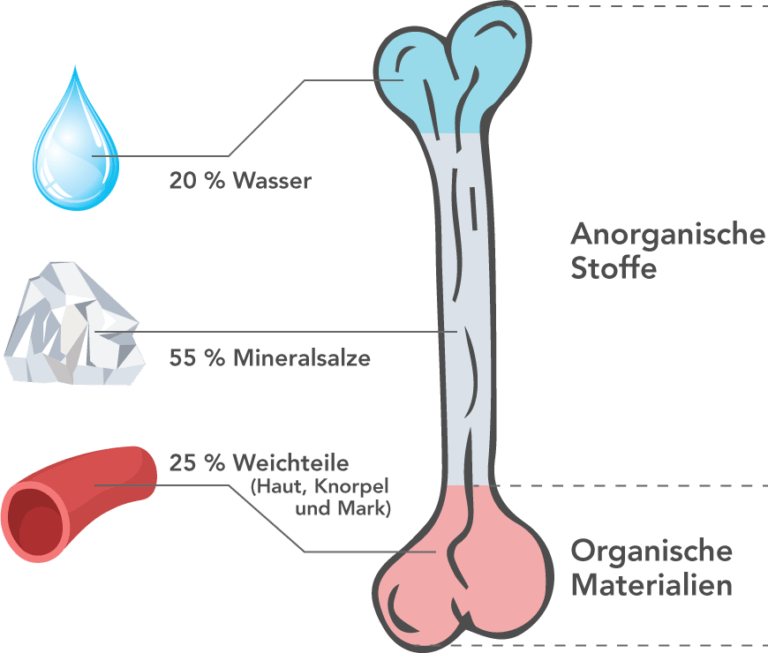 Osteoporose – Ursache, Symptome & Ernährung | Liebscher & Bracht