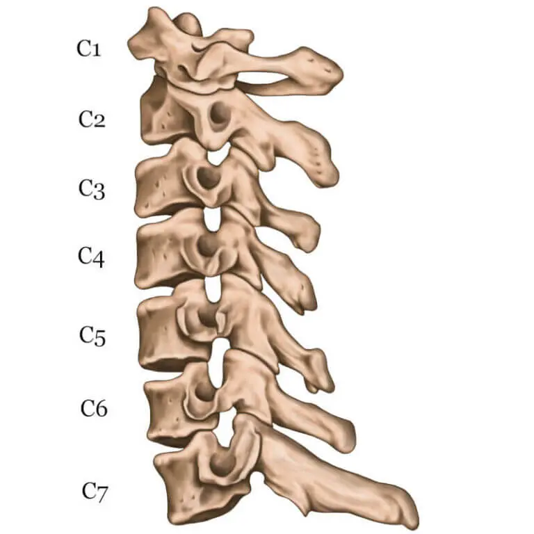 Bandscheibenvorfall der HWS: Symptome, Ursachen und Übungen | Liebscher ...