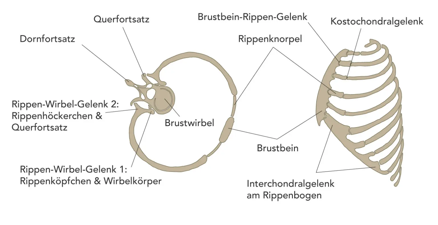 bws-blockade-bws-syndrom-liebscher-bracht