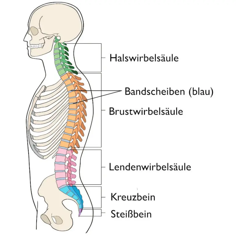 Bandscheibenprotrusion: Symptome & Behandlung | Liebscher & Bracht