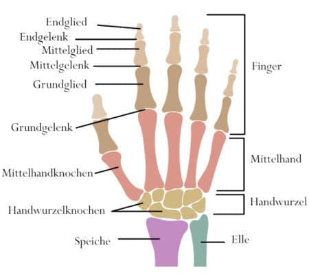 Morbus Dupuytren: Symptome, Behandlung und TOP-Übungen | Liebscher & Bracht