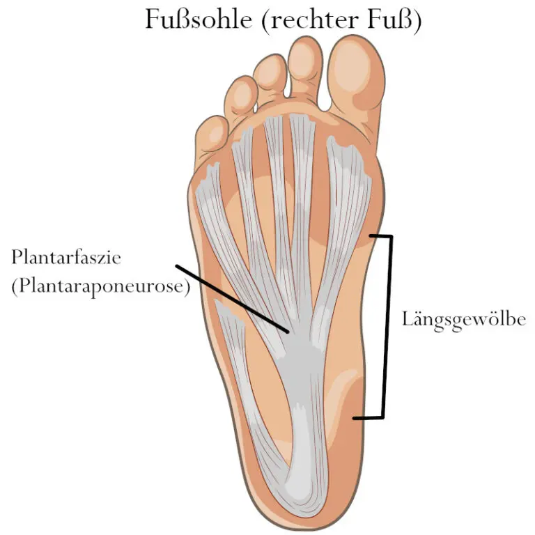 Morbus Ledderhose – Knoten an der Fußsohle | Liebscher & Bracht