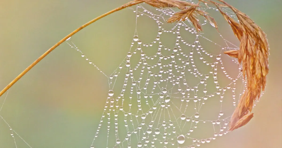 Faszien: Deshalb sind sie wichtig & so hältst du sie gesund | Liebscher ...