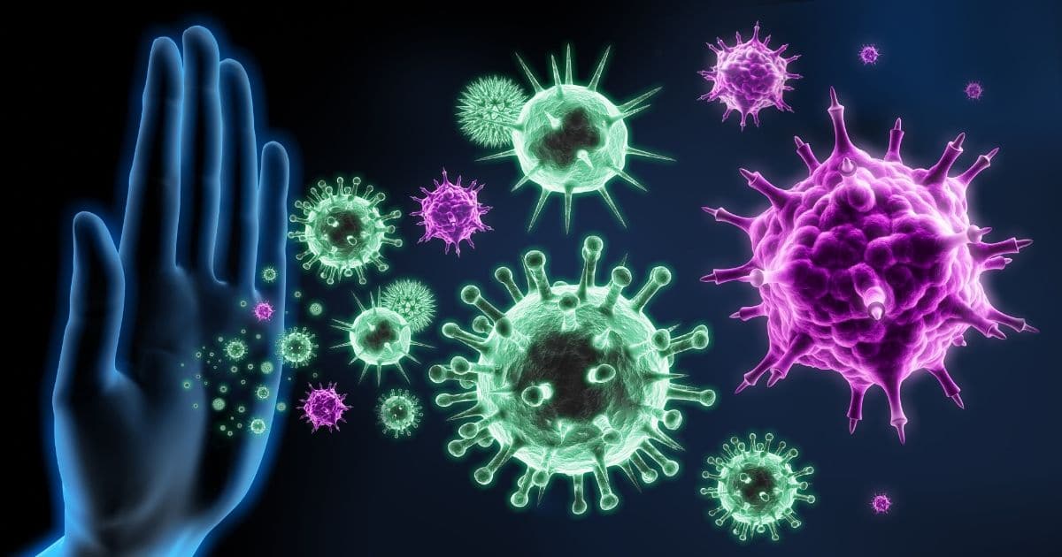 Immunsystem stärken – So gelingts! | Liebscher & Bracht