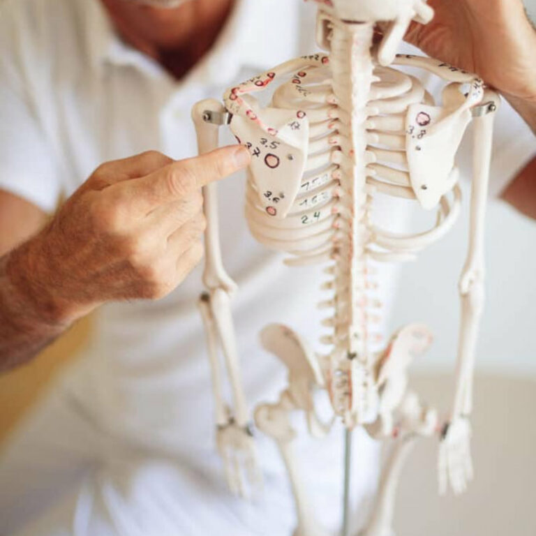 Schulterarthrose (Omarthrose) – Entstehung und Behandlung | Liebscher ...