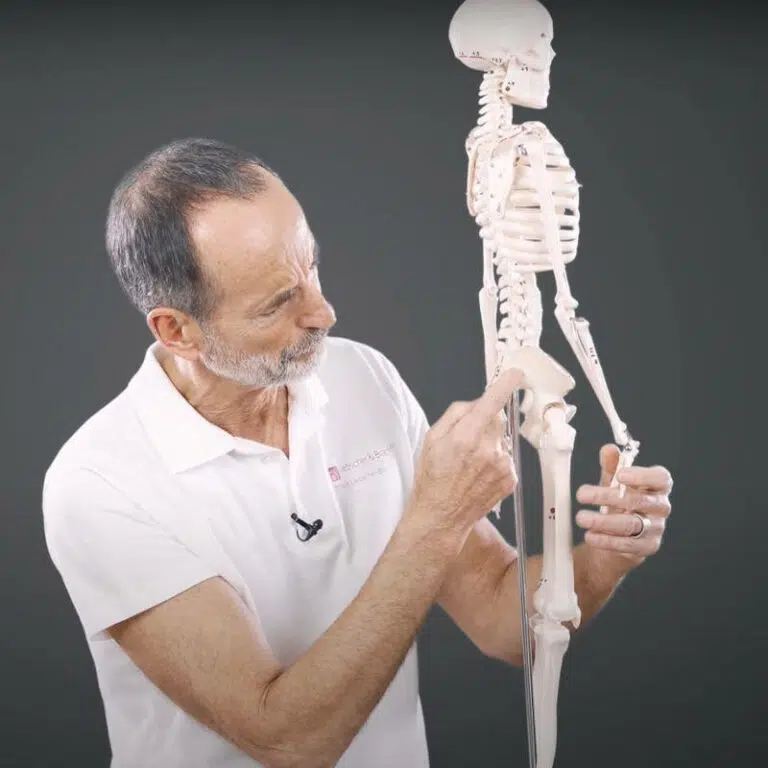 Ischiasnerv – Häufige Ursache für Schmerzen | Liebscher & Bracht