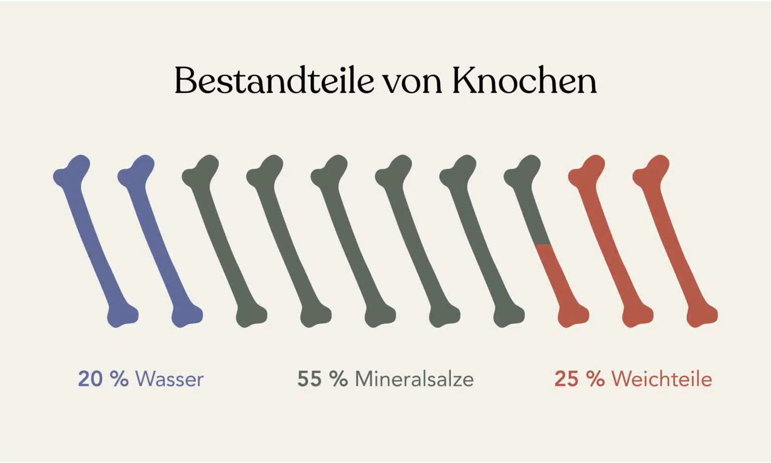 Osteoporose – Ursachen & Ernährung | Liebscher & Bracht