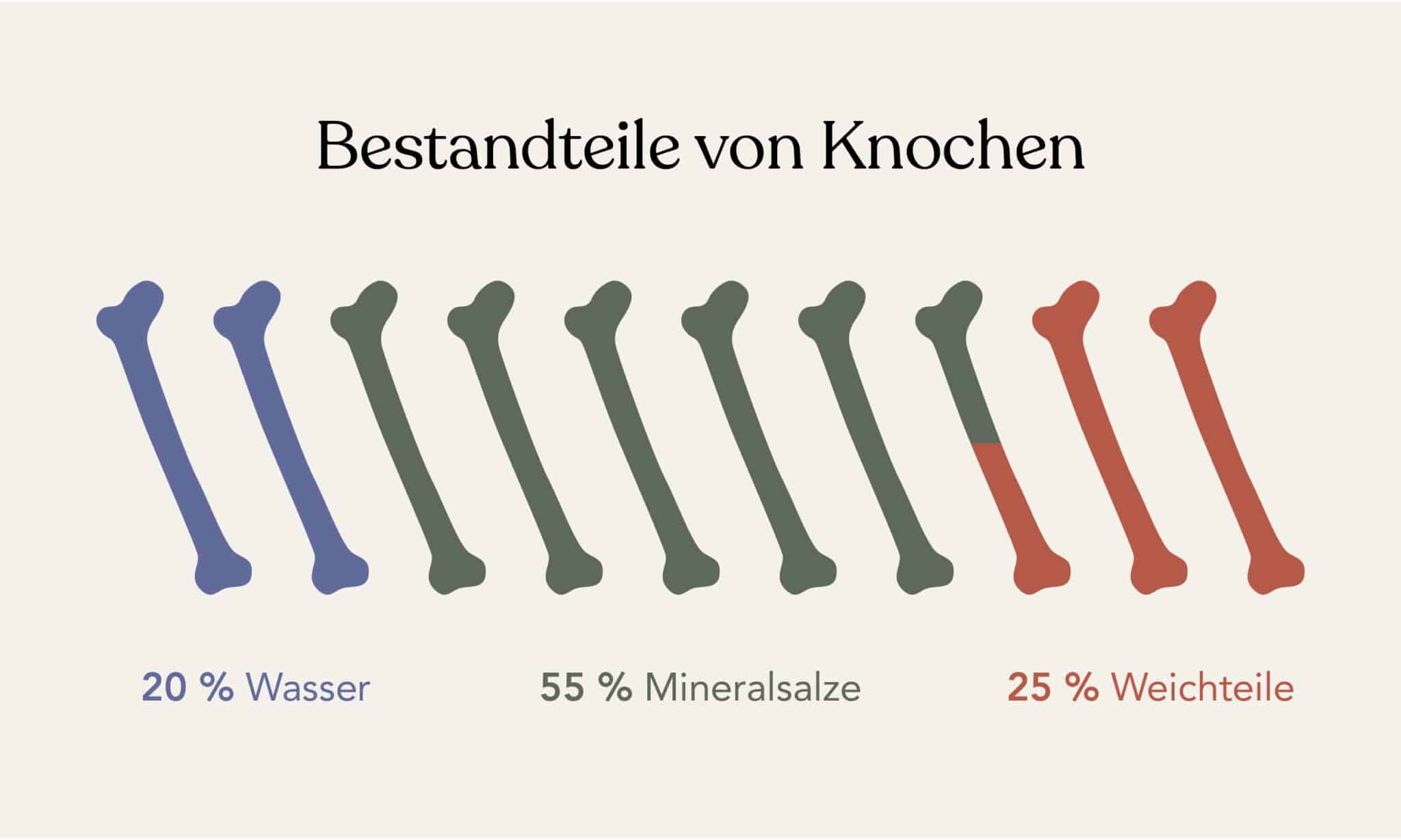 Osteoporose – Ursachen & Ernährung | Liebscher & Bracht