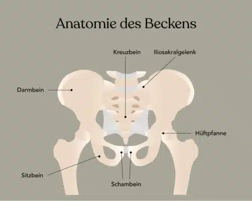 Becken-Schmerzen | Liebscher & Bracht