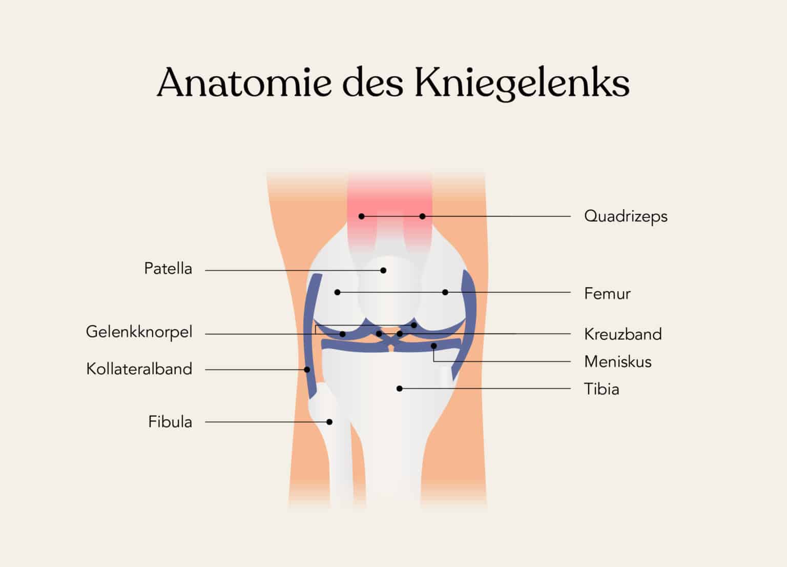 Meniskus-Schmerzen: Symptome, Behandlung & Ursachen