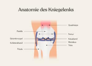 Meniskus-Schmerzen: Symptome, Behandlung & Ursachen