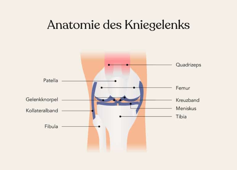 Meniskus-Schmerzen: Symptome, Behandlung & Ursachen